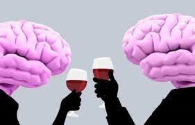 Who is a Sapiophile and ways to identify them – Free Press News